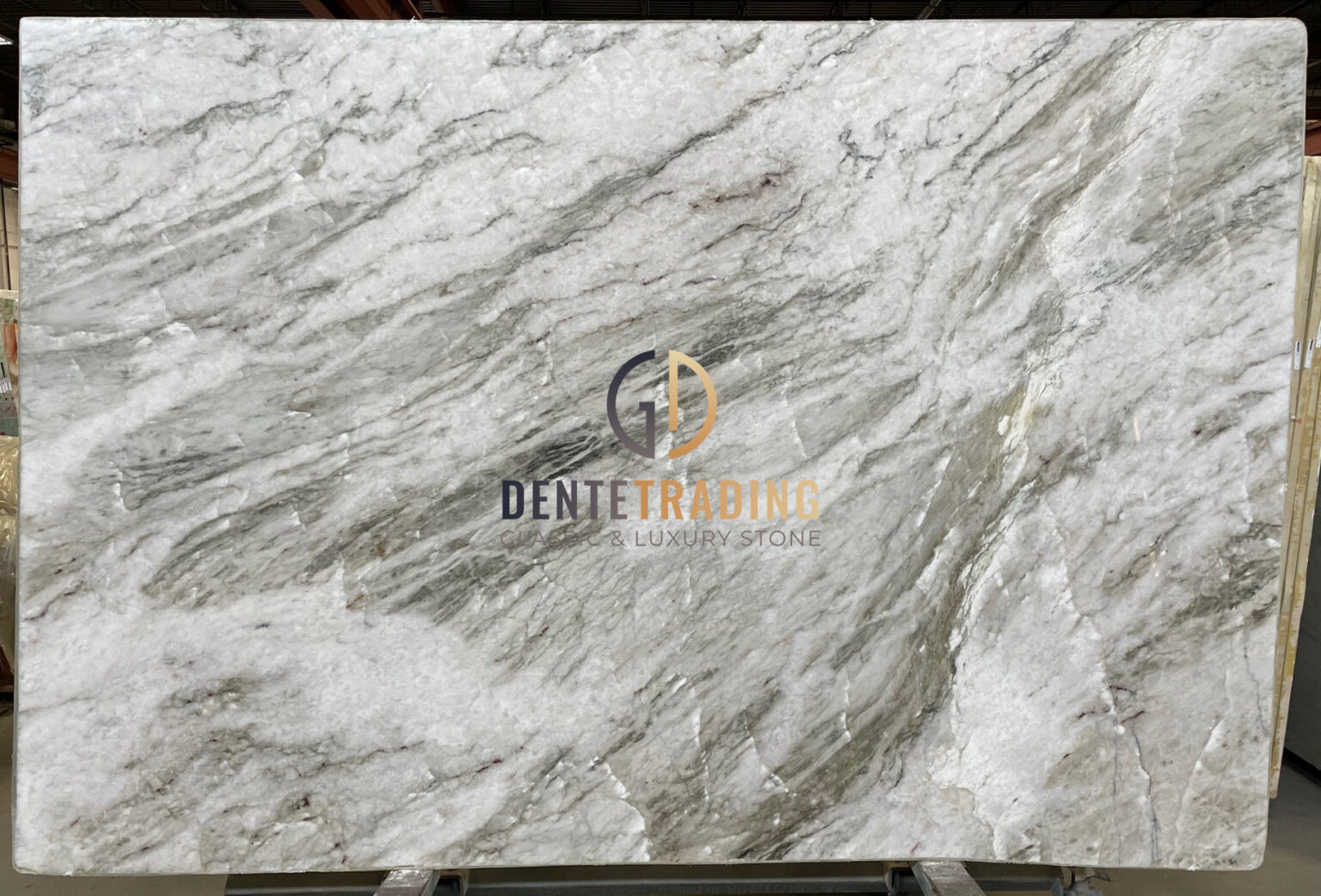 New Arrivals - Dente Trading